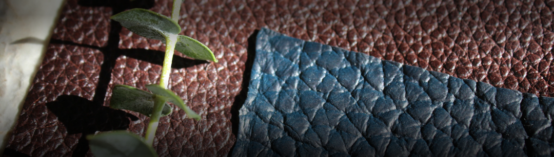 Leather + Foam Inquiry – foragerbio